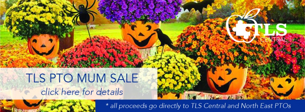 Autism Programs & Therapies | The Learning Spectrum